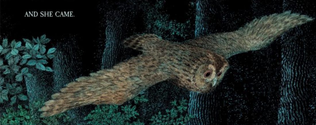 Librio Library #20 - Owl Babies - Martin Waddell and Patrick Benson ...